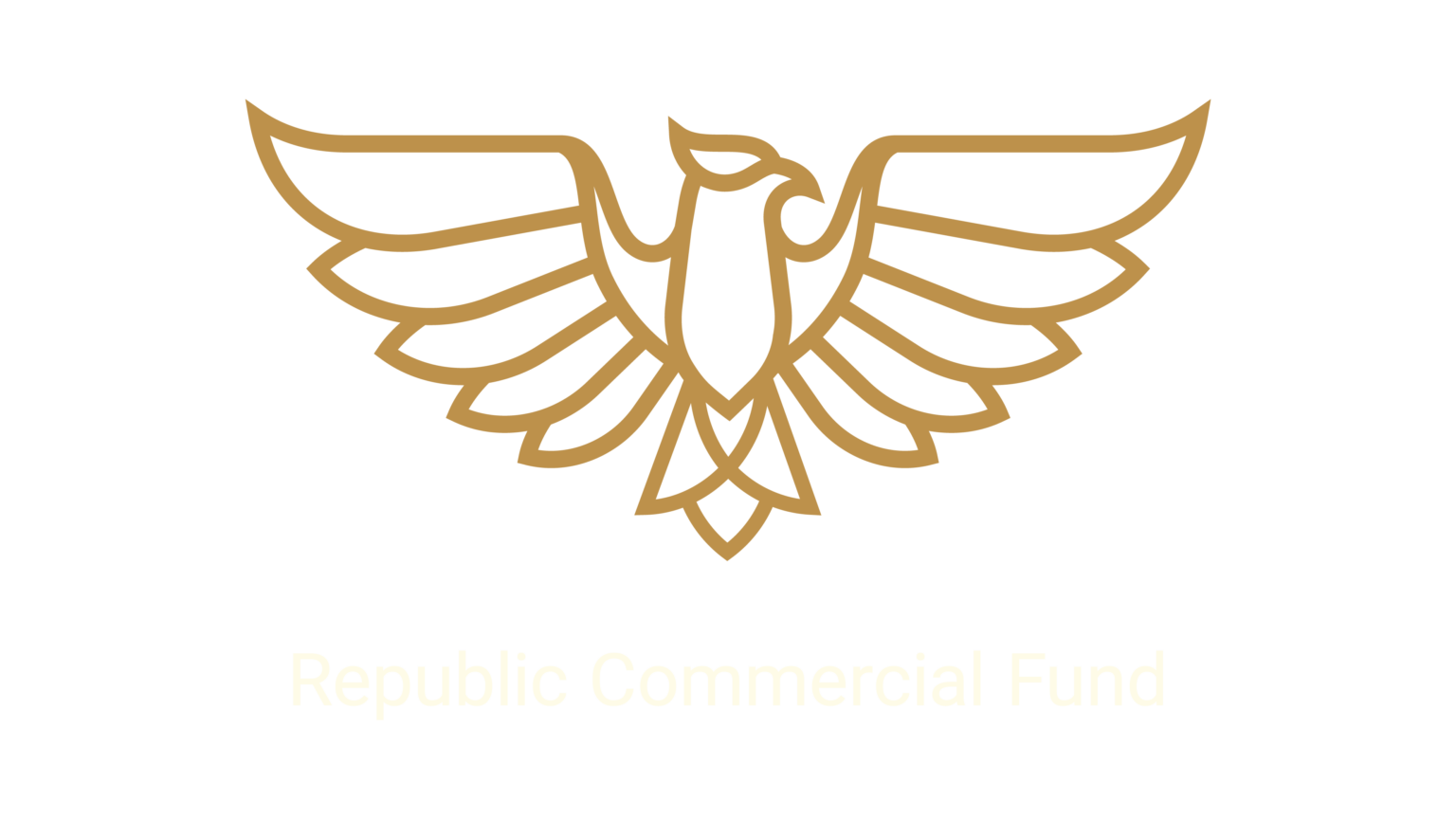 Tailored Commercial Financing Solutions - Republic Commercial Fund, LLC.
